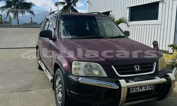 Buy and sell cars, motorbikes and trucks in Fiji - Bulacars